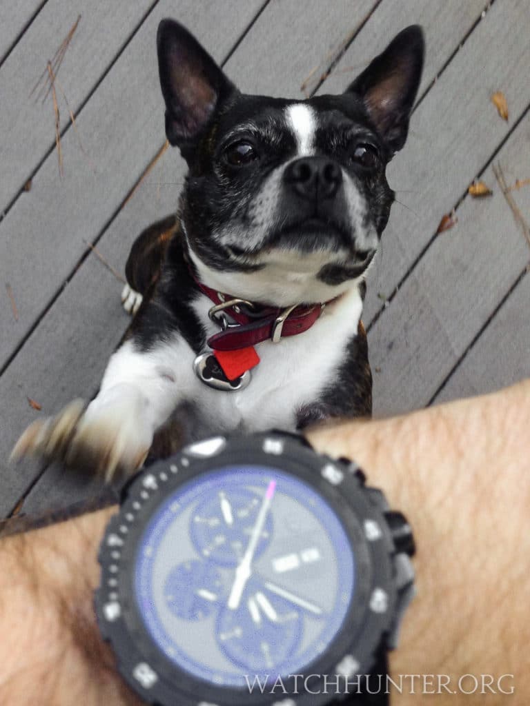 The Joy of Wearing Beater Watches - Watch Hunter - Watch Reviews ...